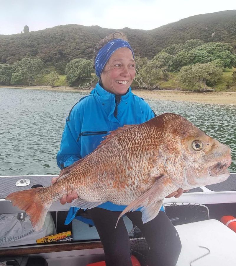 Snapper - Species Guide