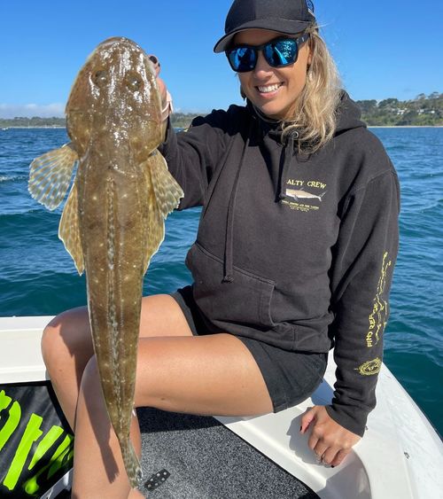 Flathead - Species Guide