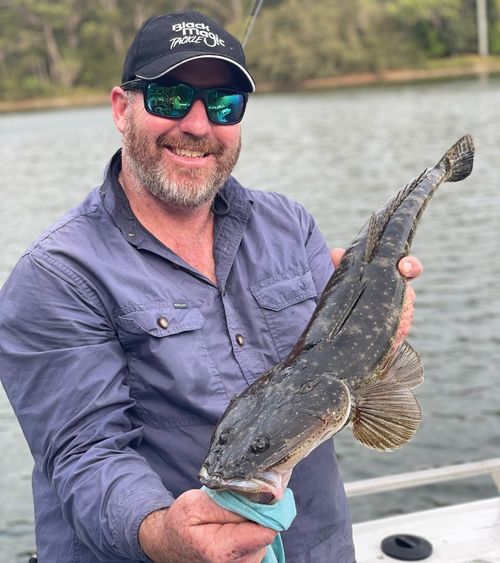 Flathead - Species Guide