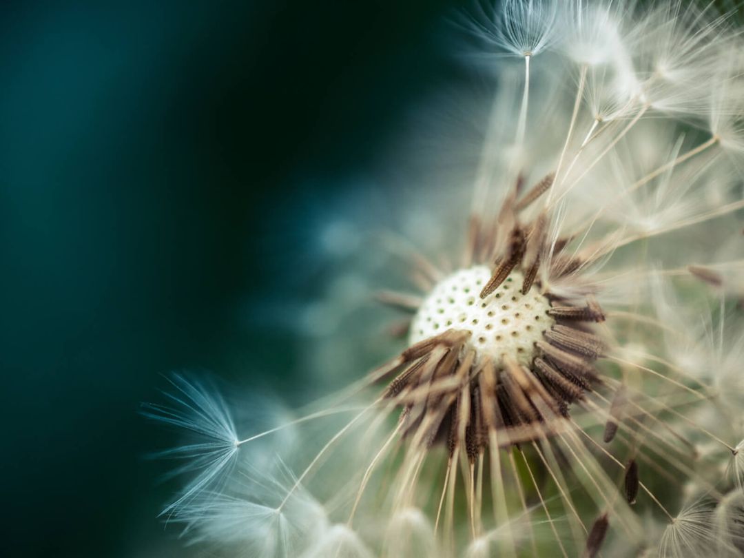 Superannuation Recontribution Strategies Explained | Prime Financial