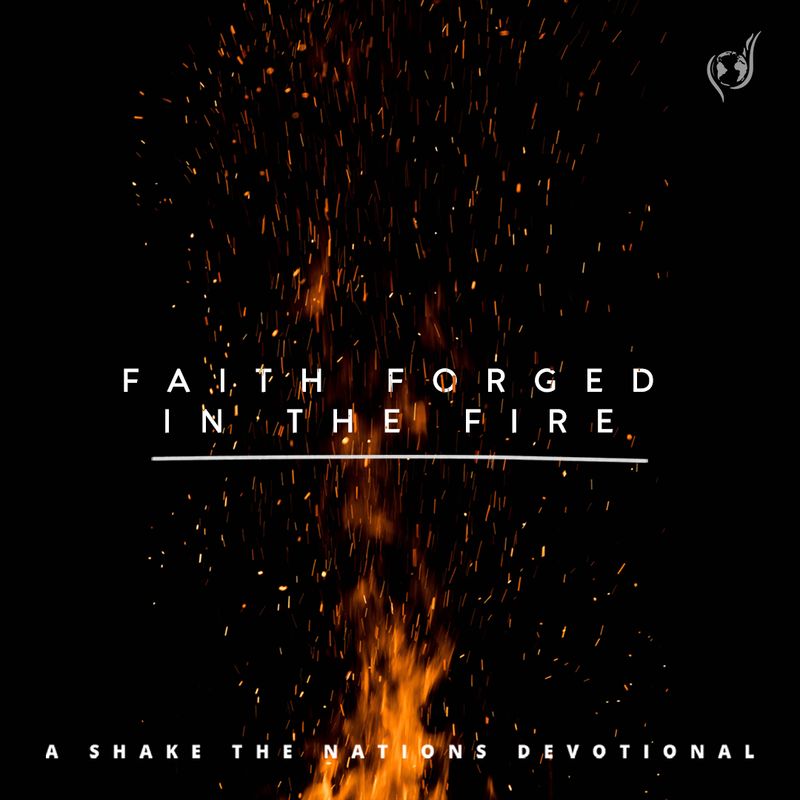 Shake The Nations Site