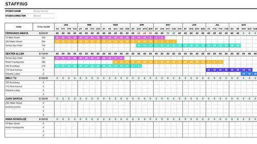 Architecture Project Staffing Plan Template - Monograph