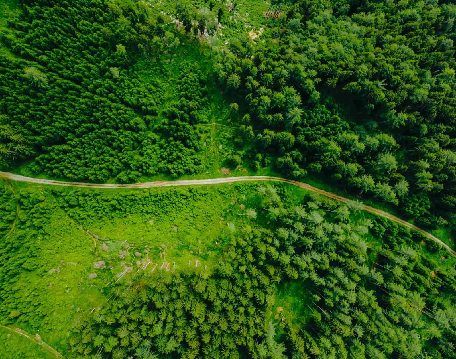 Events 2025 - carbon-connect AG