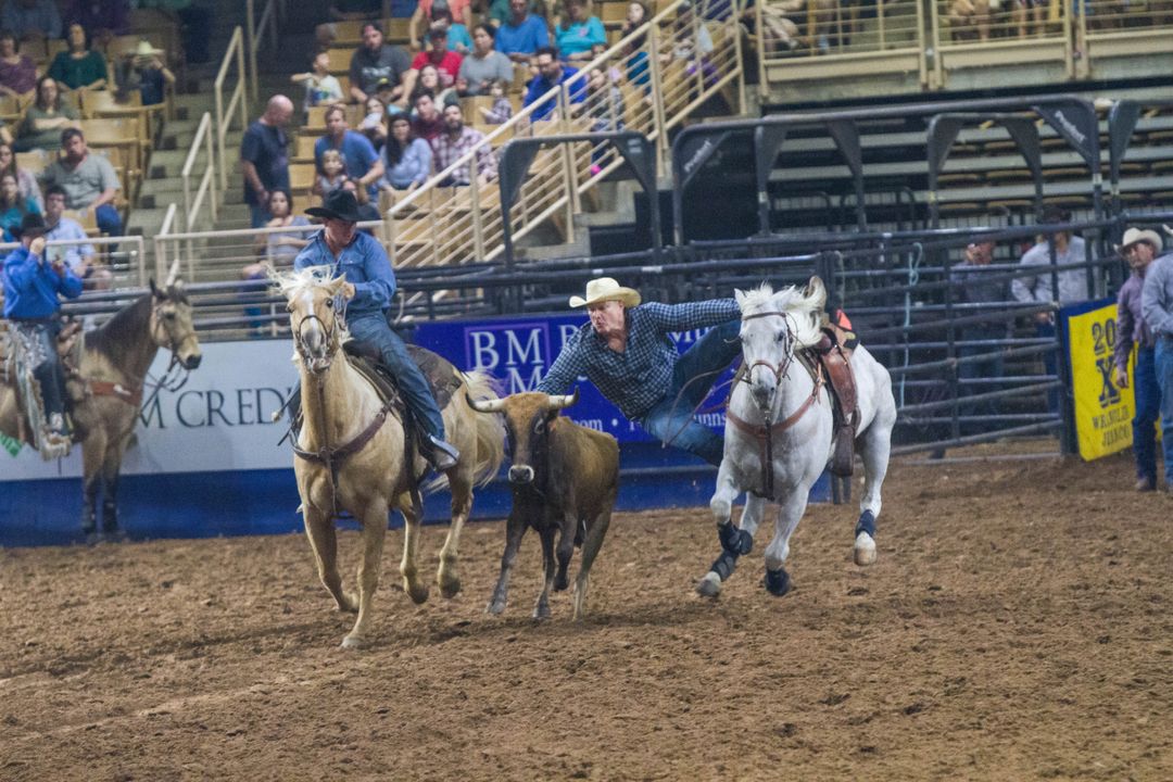 How Rodeo Events Are Scored | Silver Spurs Rodeo