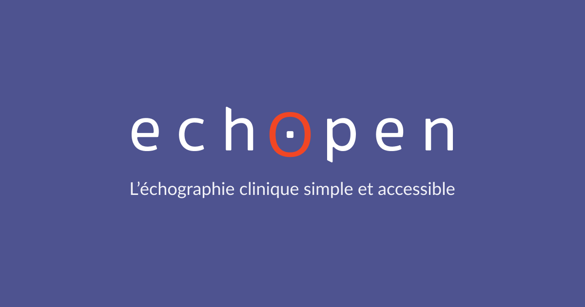 echOpen | simple, accessible clinical ultrasound | Made in France