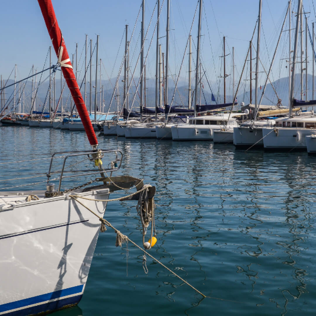 Understanding USCG License: Complete Guide | MM-SEAS