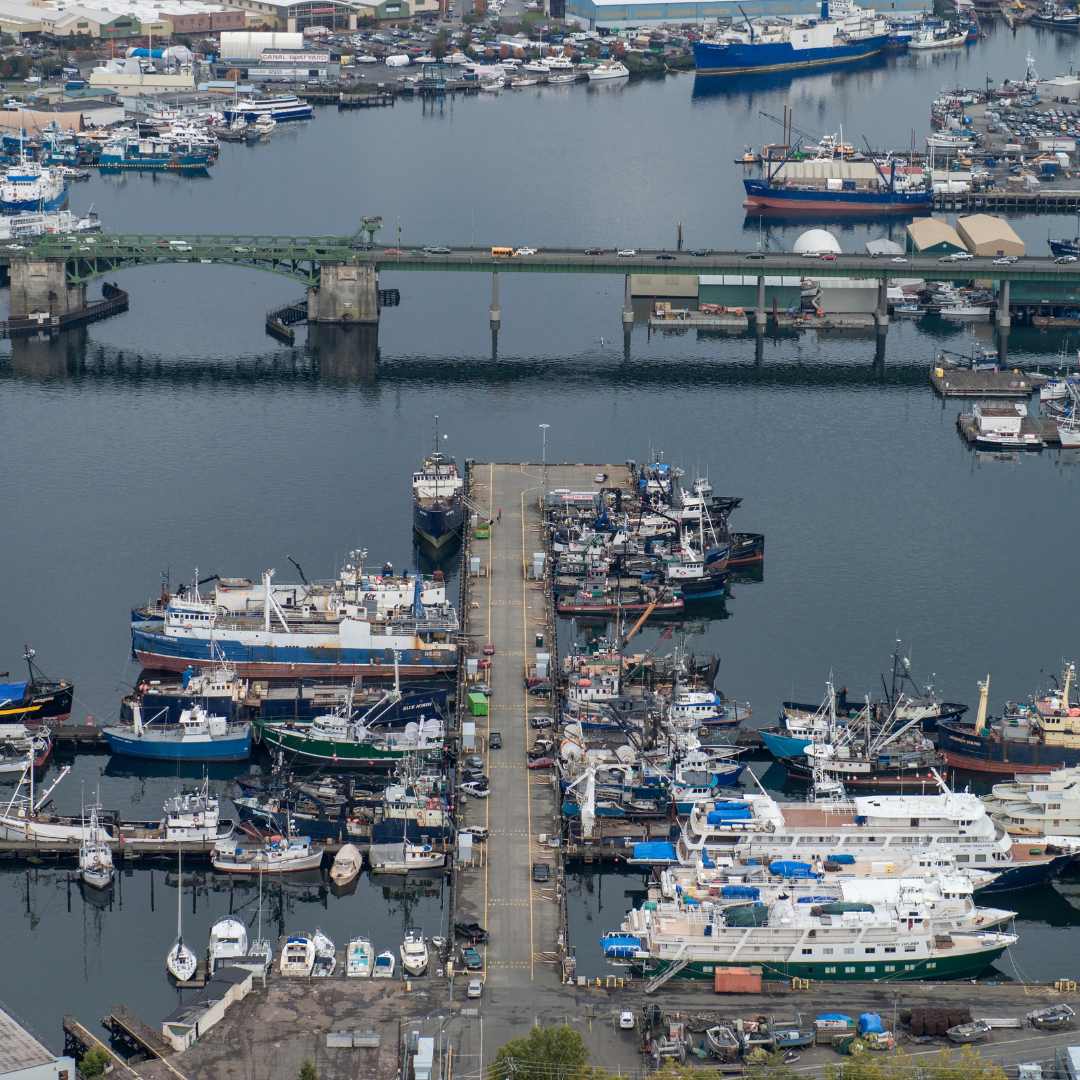 USCG License: Employer Drug Test Letter Guide | MM-SEAS