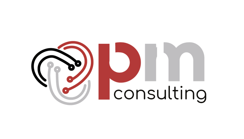 PM Consulting