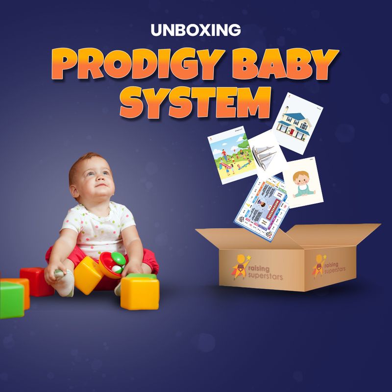 [Global] Programs Overview