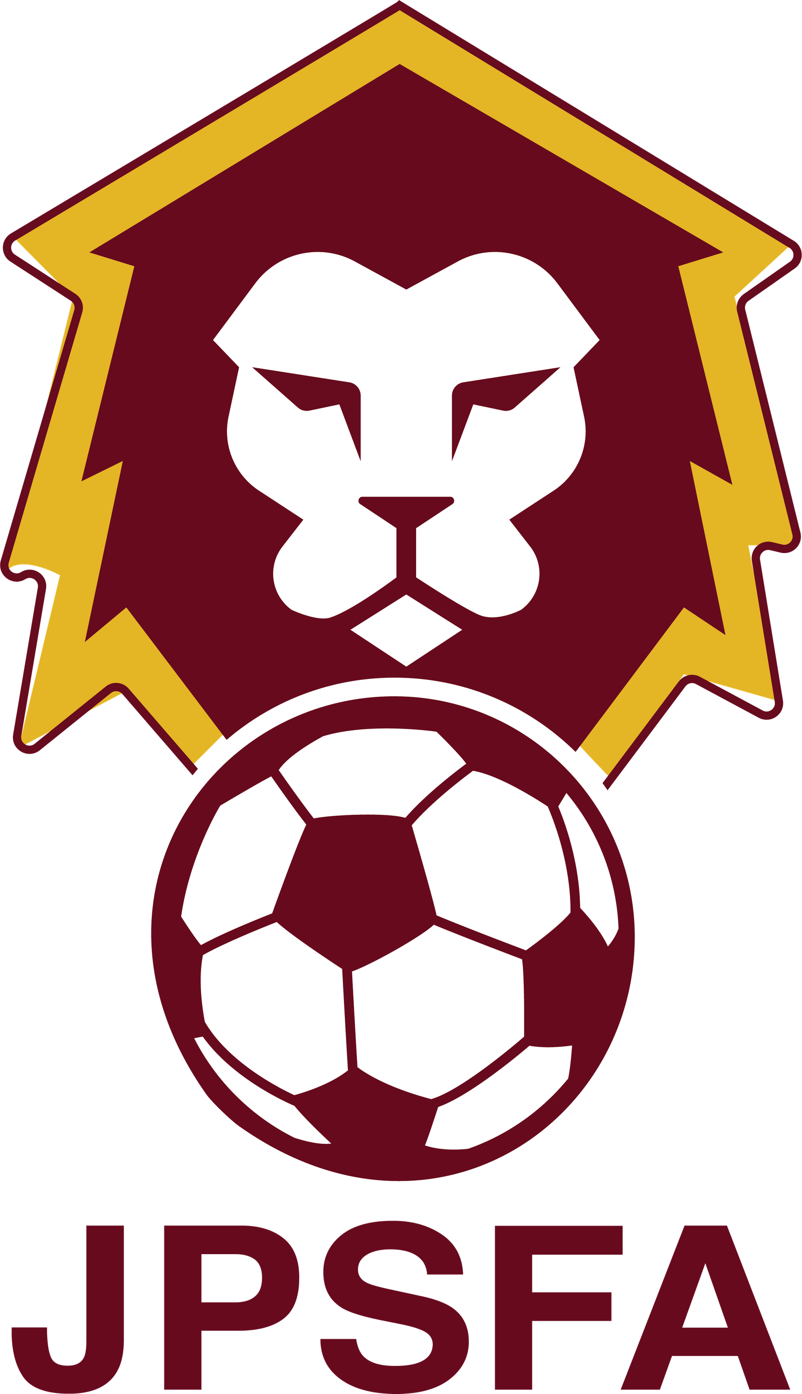 JPSFA | Johannesburg Primary Schools Football Association