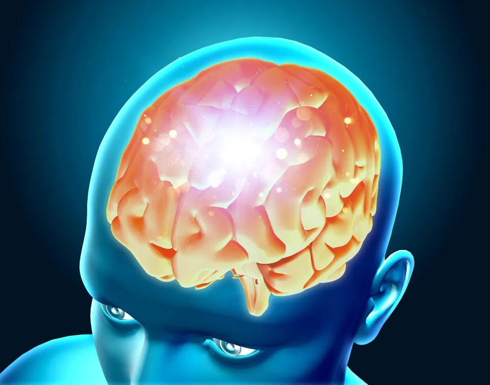 What Parts of the Brain Do Autism Affect