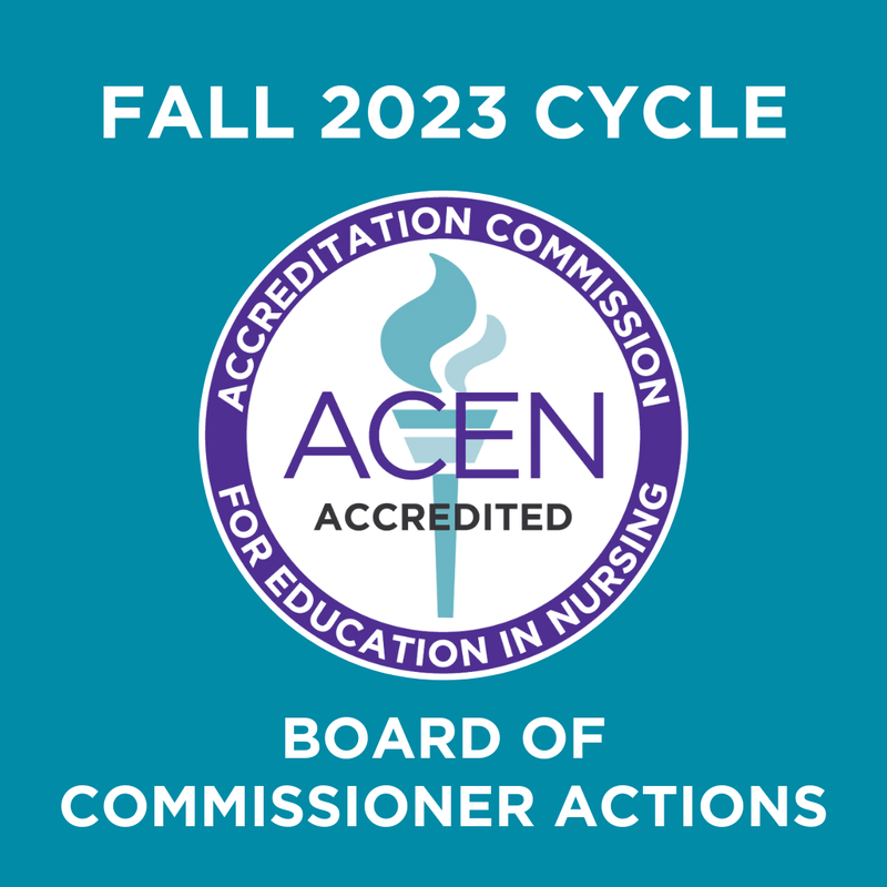 Home [www.acenursing.org]