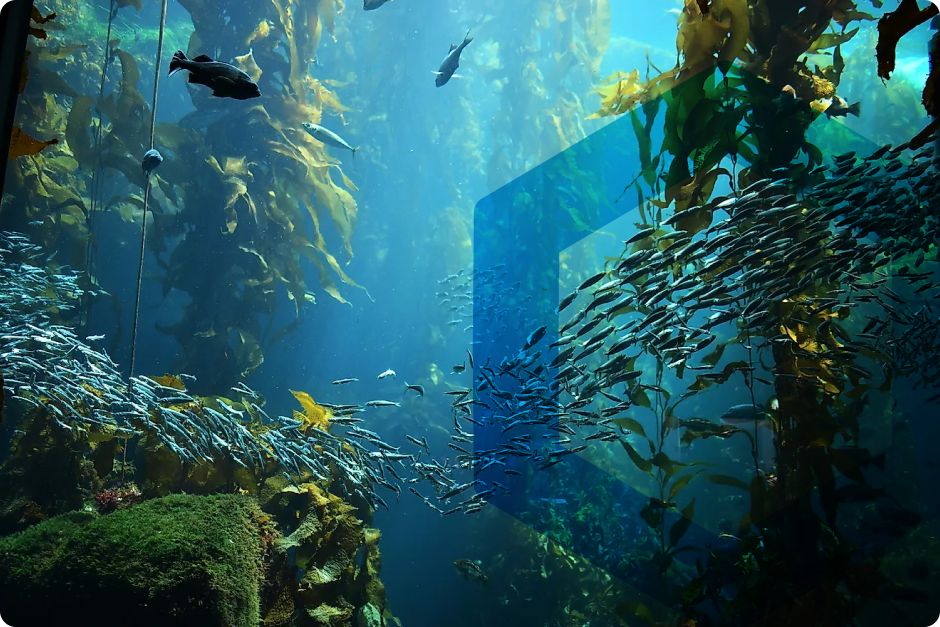 Monitor habitats with High-Integrity Geospatial Insights | NatureMetrics