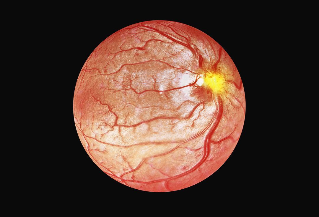 Home [www.aoece.com]