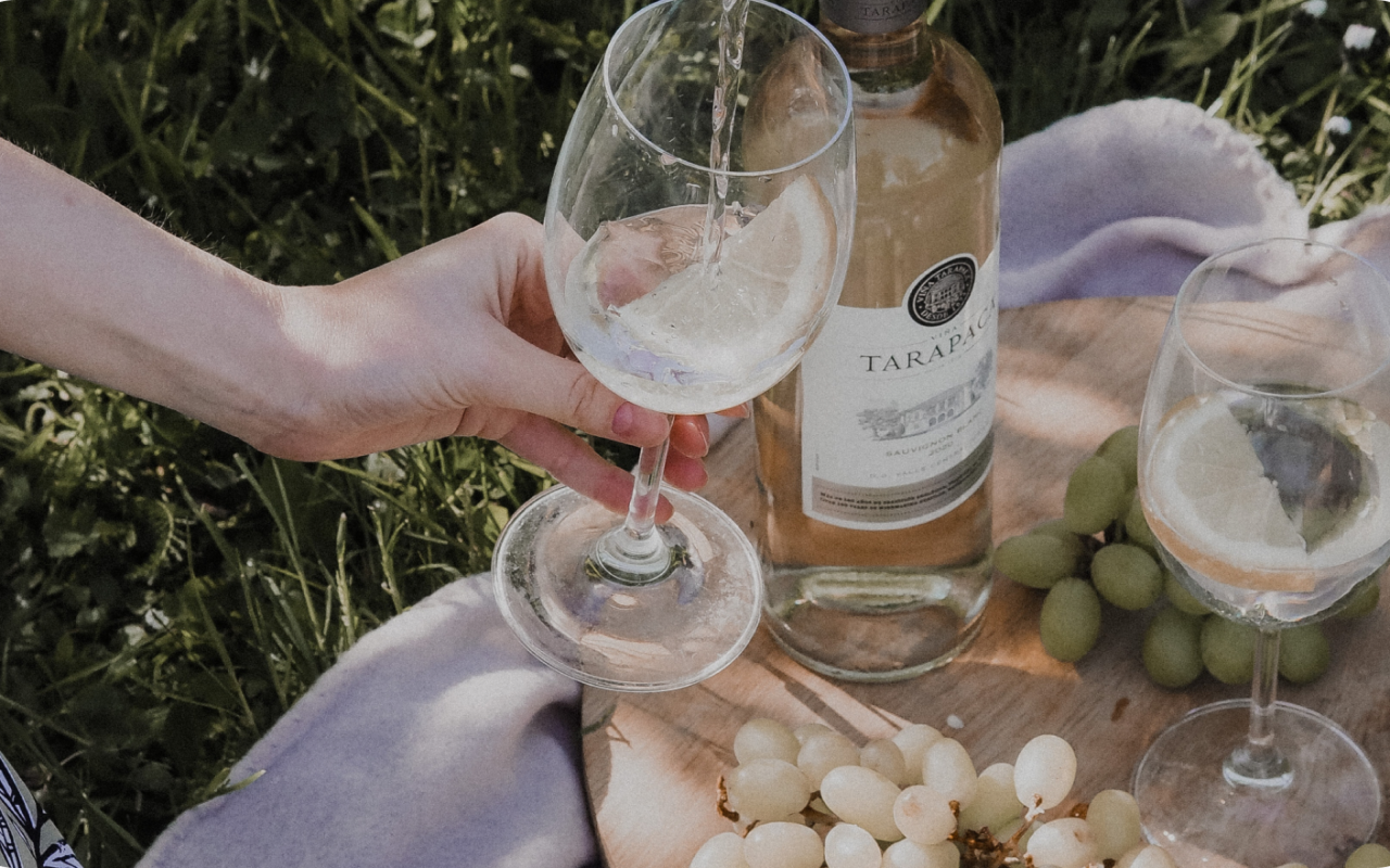 Introducing Past Bottles – Your Wine History, Perfectly Organized