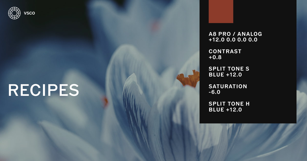 VSCO Recipes for Batch Photo & Video Editing