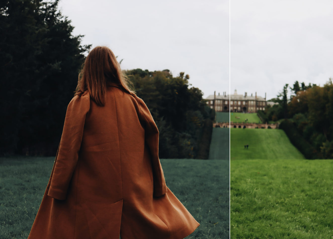 HSL Image Editor (Change Hue, Saturation, Lightness) | VSCO