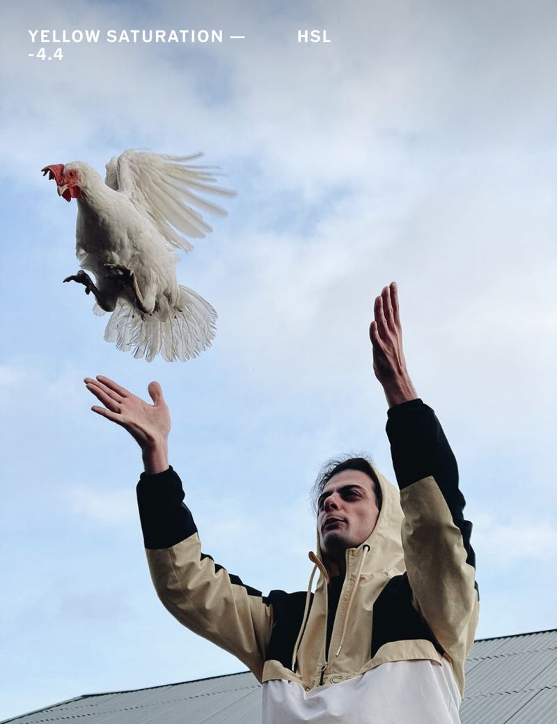 HSL Image Editor (Change Hue, Saturation, Lightness) | VSCO