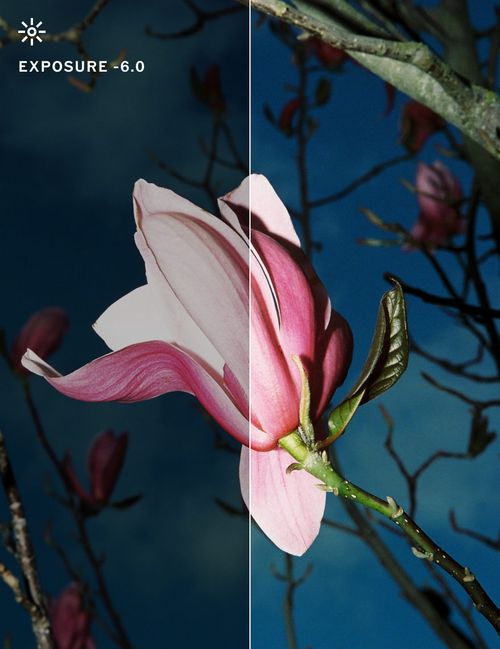 Photo Exposure Editor: Image Brightener & Darkener Online