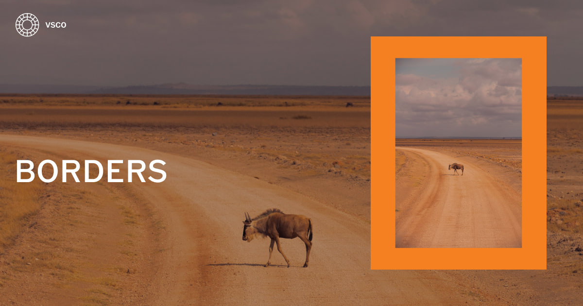 Image Border Editor | Add Borders to Your Photos