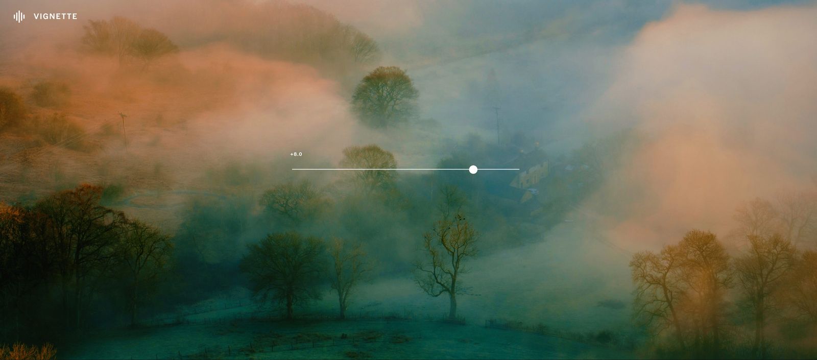 Add Vignette Effect to Your Images | VSCO Vignette Filter