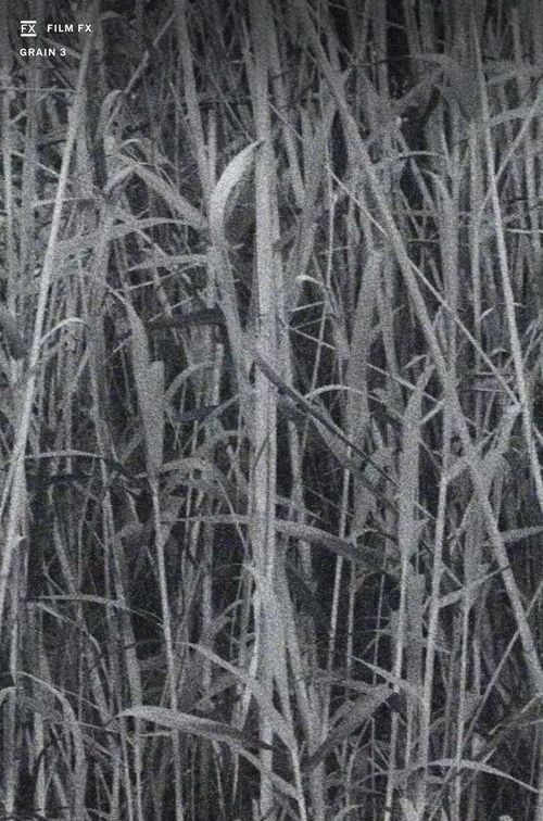 Film Grain Filter for Photos – Add Grainy Texture Effect