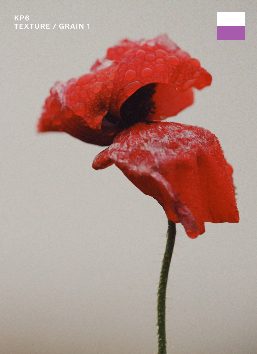 VSCO Film FX | Vintage & Retro Film Effects (Photo & Video)