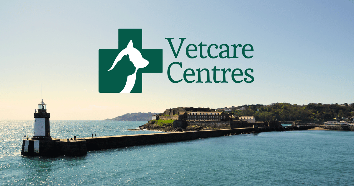 Vetcare Centres - Guernsey's Trusted Veterinary Clinics