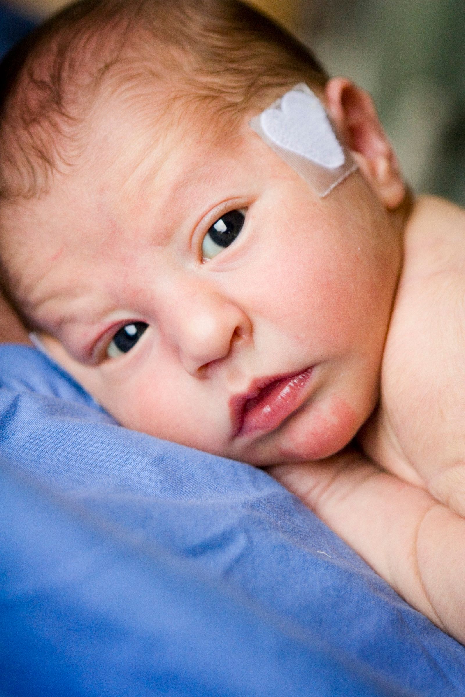 Setting Records for a Cause: Austin Hatcher Foundation’s Cars Make ...