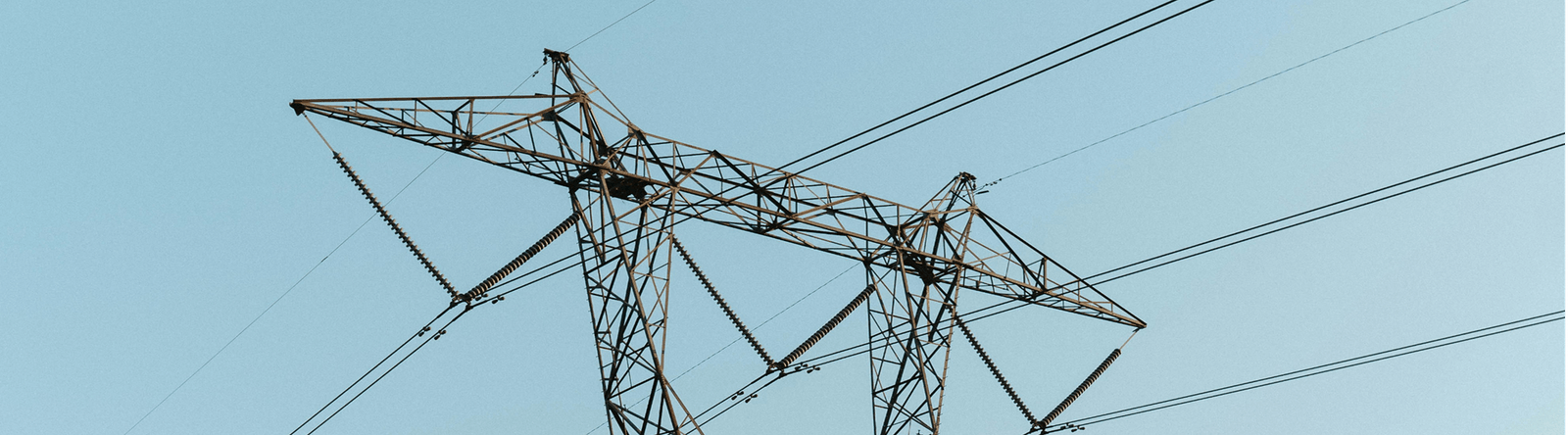 Highlights from Crux’s 2025 Mid-Year Market Intelligence Report