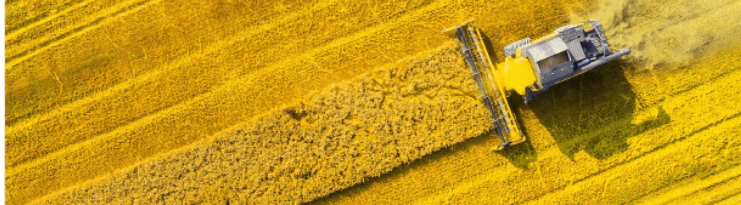 Rapid Response: Key Takeaways for Clean Fuel Producers and Investors ...