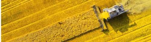 Rapid Response: Key Takeaways for Clean Fuel Producers and Investors ...