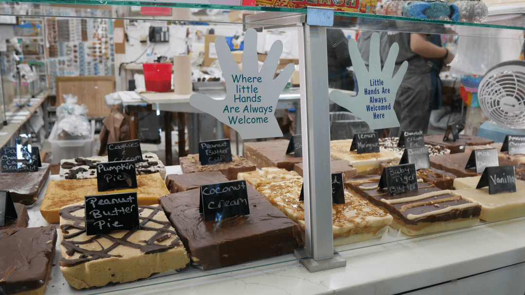 Sea Shell Shop | Home