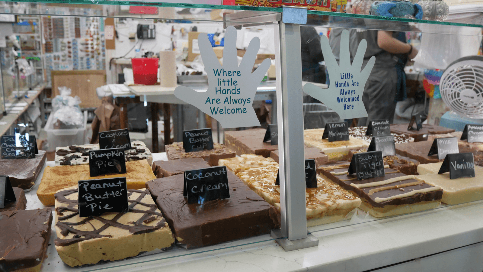 Sea Shell Shop | Home