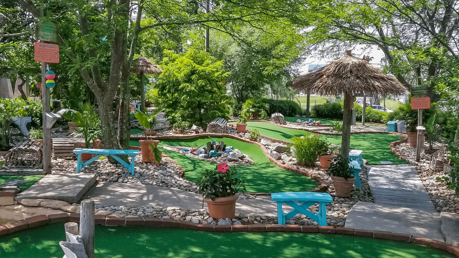 Shell We Golf - Mini Golf | Sea Shell Shop