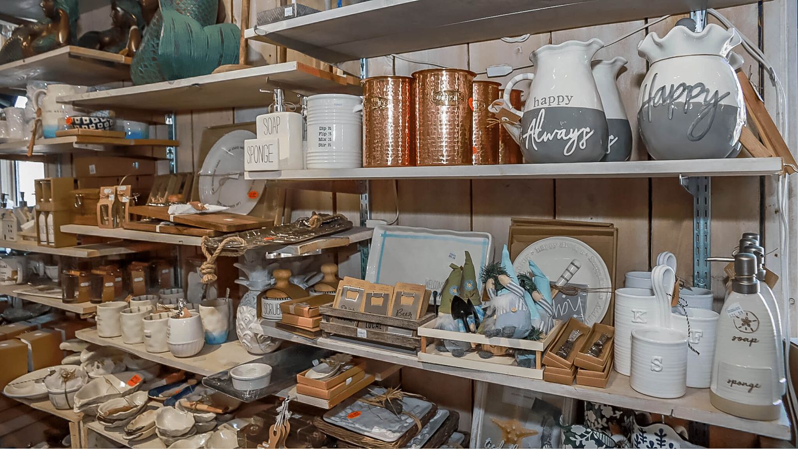 Sea Shell Shop | Home