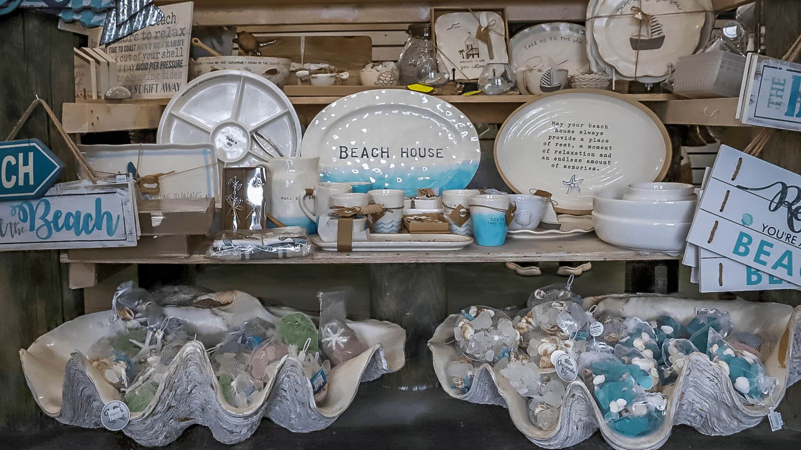 Sea Shell Shop | Home