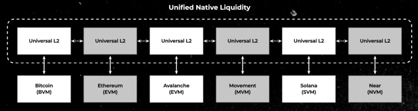 The Quantum Entangled Network