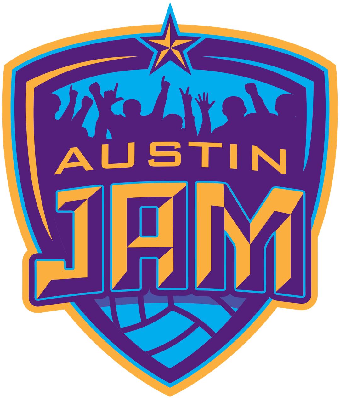 History, Teams, and League Management | About | Volleyball League of ...