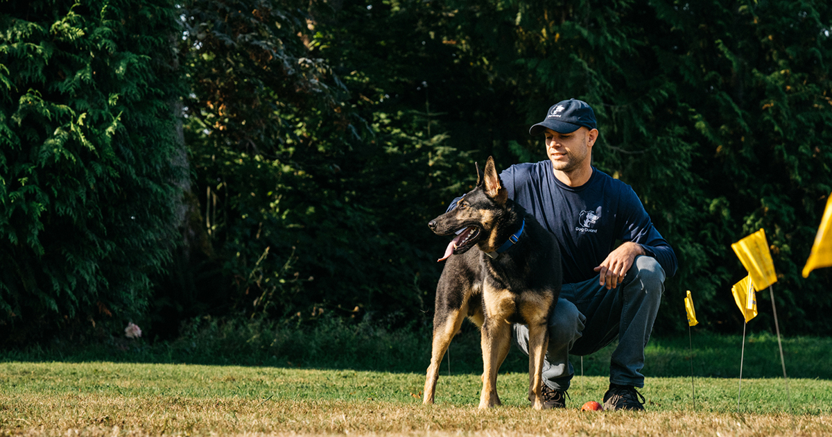 Dog Training for Outdoor Dog Fences | Dog Guard Midwest