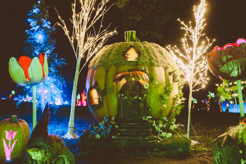 Pumpkin Nights | Dallas, TX