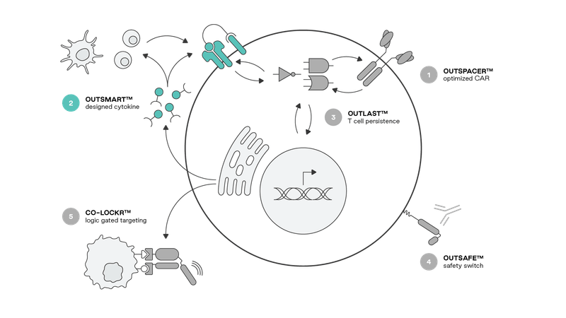 AI-Powered Protein Design for Cell Therapy | Outpace Bio