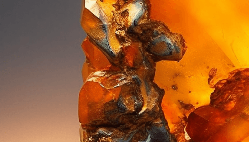 Ruya - Brand and Design Consultancy based in Dubai, UAE.