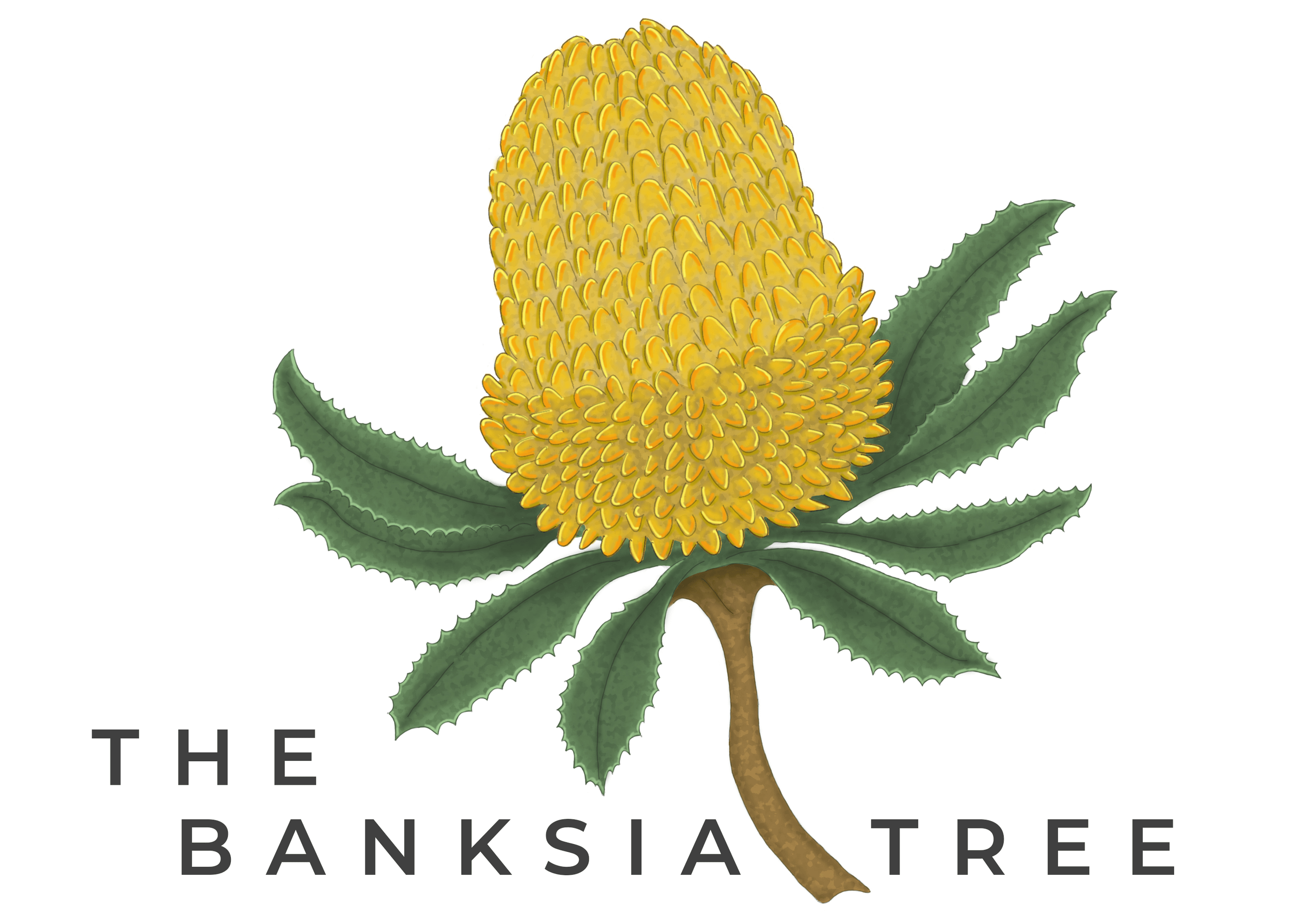 The Banksia Tree Cafe | Port Adelaide | Brunch & Coffee