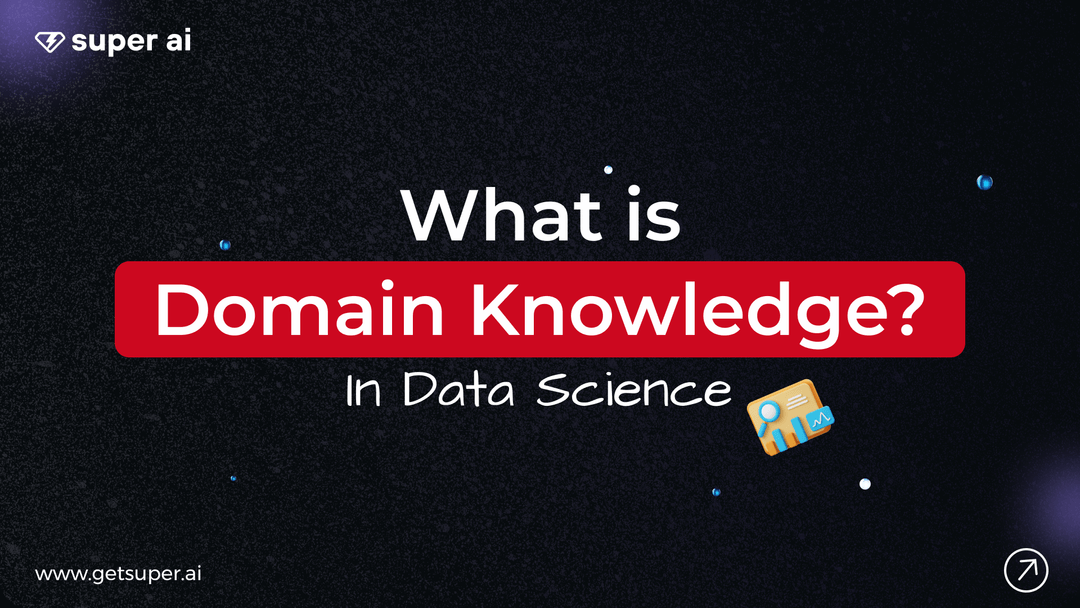 What is Domain Knowledge?
