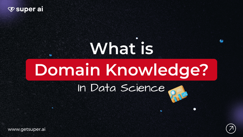 What is Domain Knowledge?