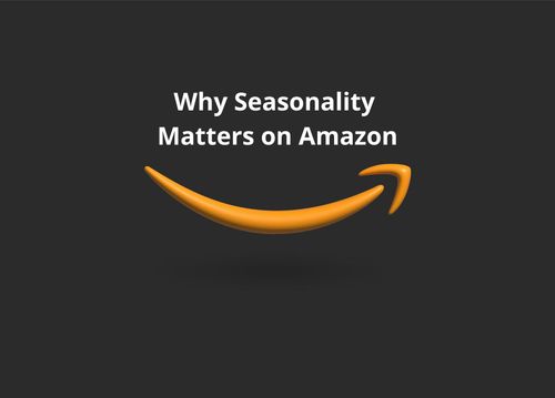 The Amazon Vine Program Explained | Blog | AmpliSell