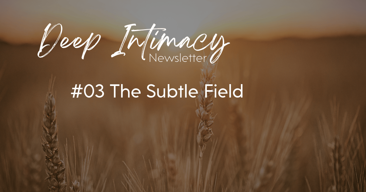Deep Intimacy #03 ~ The Subtle Field | Evolve Relating