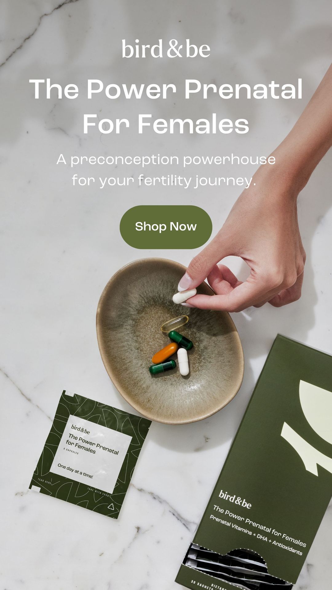 IUI Timeline: Key Milestones and Important Dates