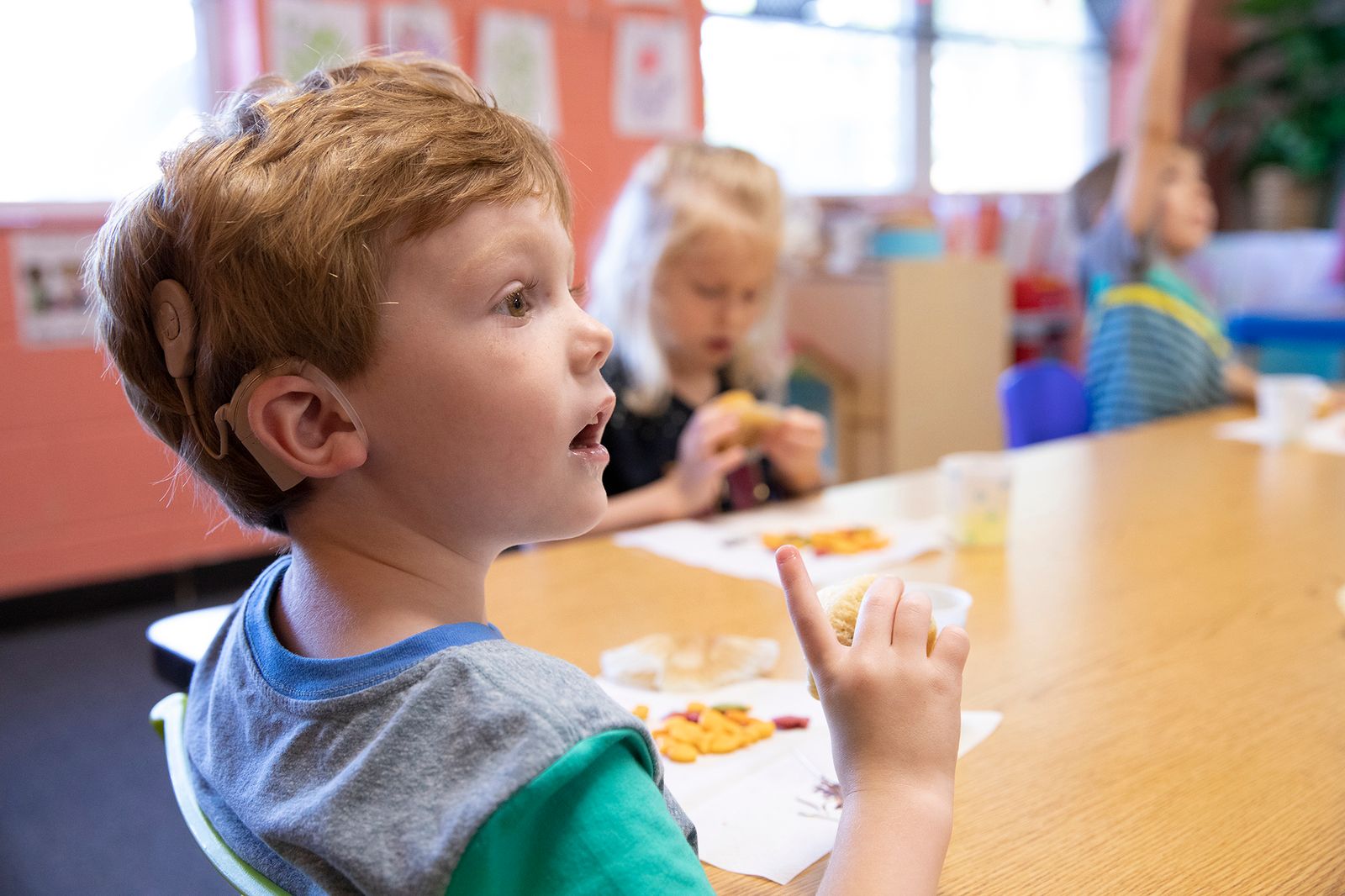 Advanced Audiology Course | Institute for Cochlear Implant Training